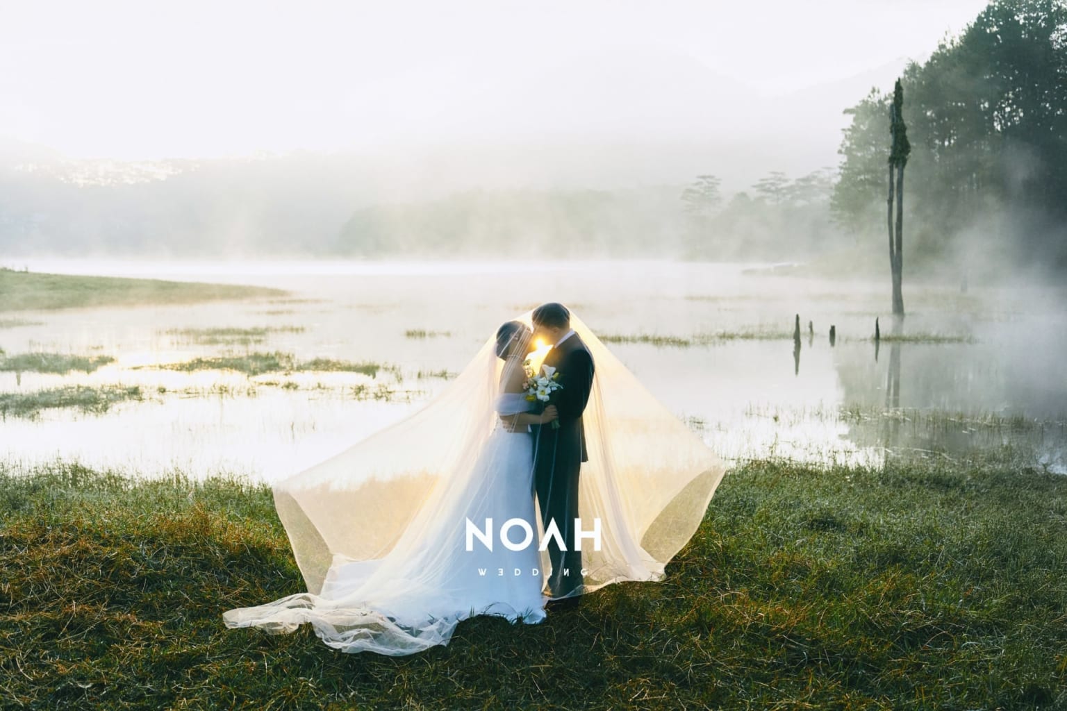 Sunlit Reverie 3 - Noah Wedding